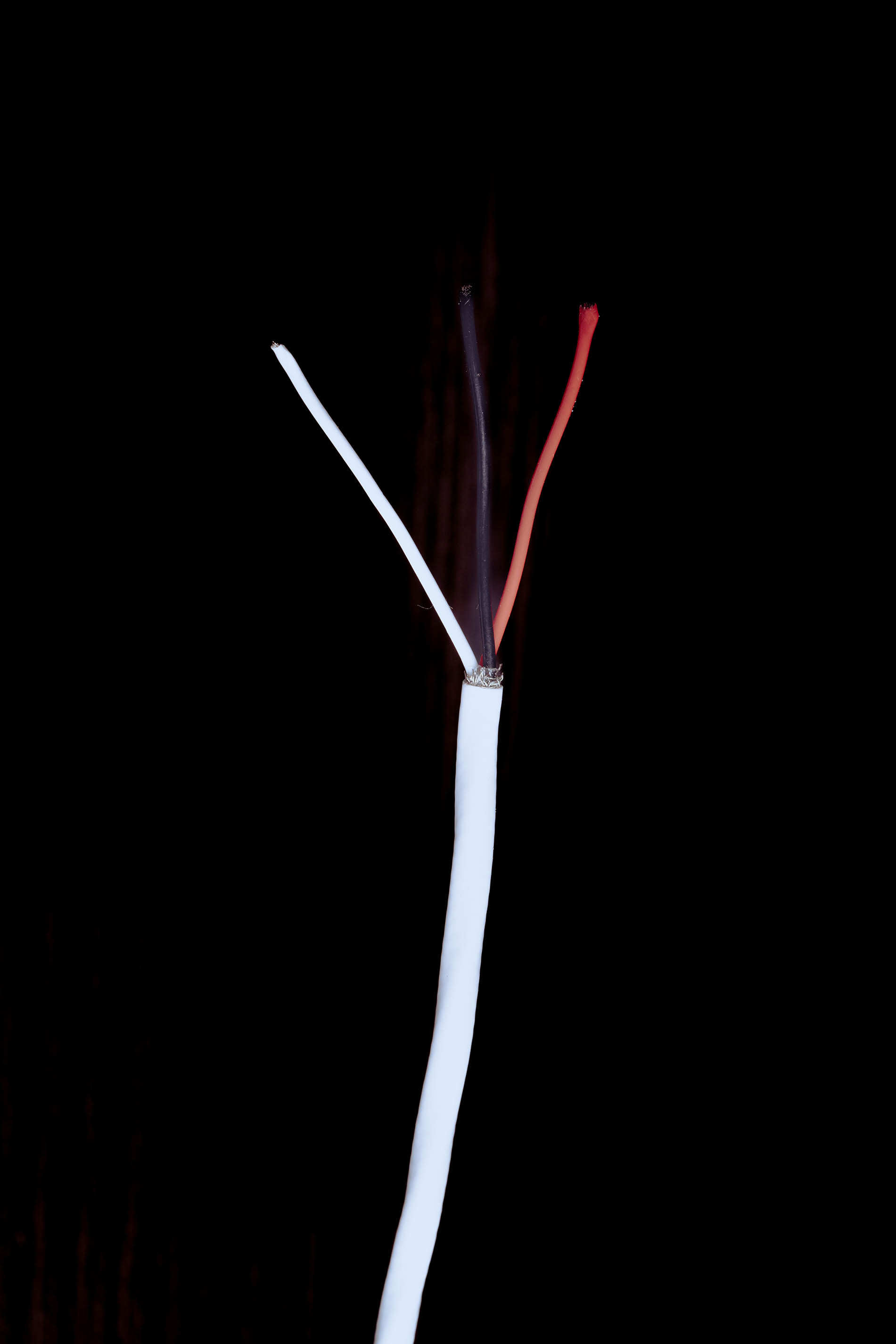 Shielded Tefzel Cabel - Elite Dash Technology